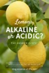 Are Lemons Alkaline or Acidic? | Measuring the Acidity of Everyday Foods