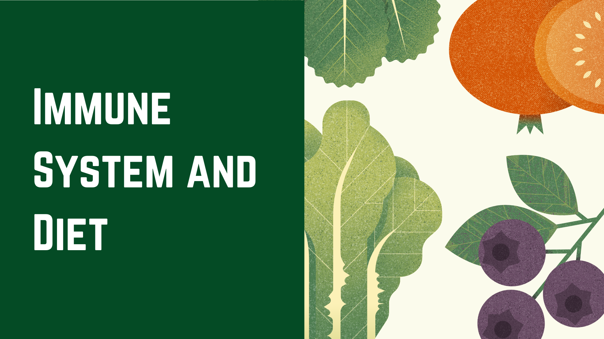 Immune System and Diet | The Essential Health Blog